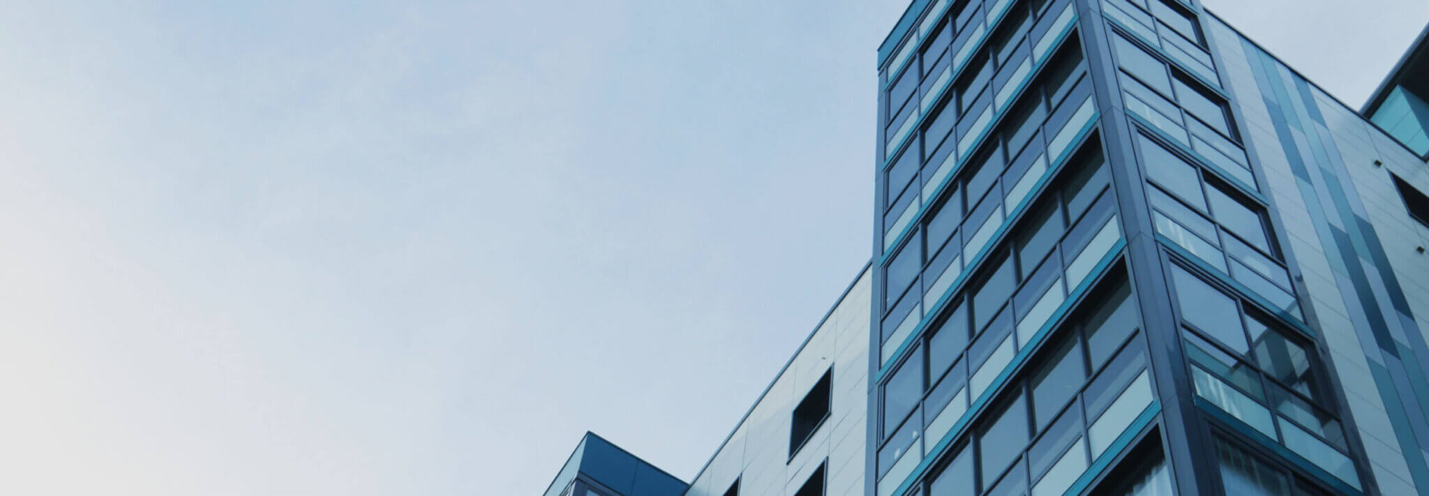 Meet the HCA Team of Experts!